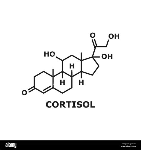 Chemical Molecule Of Hormone Of Adrenal Glands Cortisol Isolated Structure In Line Art Vector