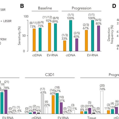 Detection Of Egfr Mutations In Tumor Tissue And Sensitivity By Liquid