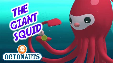 The Giant Squid Octonauts Wiki Fandom Powered By Wikia