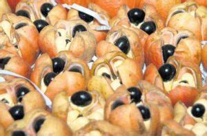 Manchester Health Department Urges Caution As Ackee Poisoning Incidents