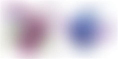 Amphimon And Cthyllamon Added To Digimon Reference Book Rdigimon