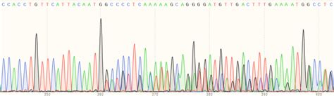 Human Adar Adar1 Knockout Hek 293t Cell Line Ab266846 Abcam