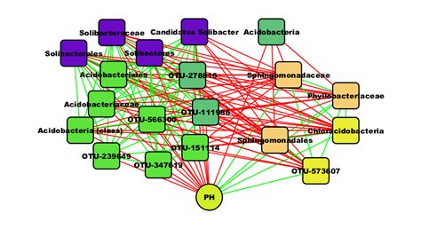 Microbial Association Network Construction