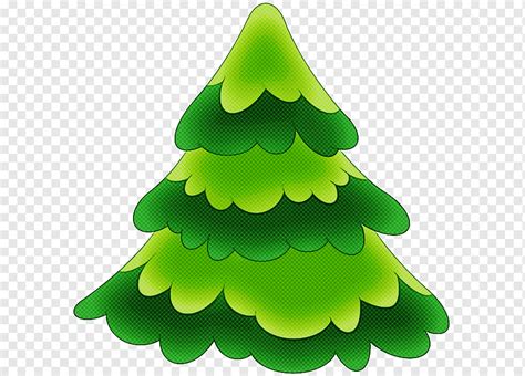 그린 오 레 곤 파인 콜로라도 스프 루 스 크리스마스 장식 잎 상록수 침 엽 수 크리스마스 트리 크리스마스 장식 크리스마스 트리 콜로라도 스프루스 Png