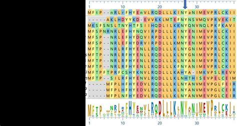 Alignment Of The N Terminus Of Rpl5 Proteins In A Wide Range Of Species Download Scientific
