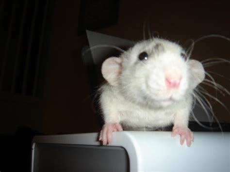 Hehe My Ellie Bug Yet Again By Beebeeboo45983 On Deviantart