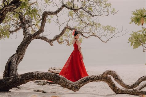 C Tricks C Tricks Updated Their Cover Photo