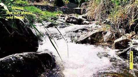 꿈꾸는별장 청평 드림포터 힐링스냅 And Vlog 드림포터 꿈꾸는별장 세컨하우스 소형별장 청평계곡 청평세컨홈 캠핑하우스 계곡캠핑 5도2촌 Shorts