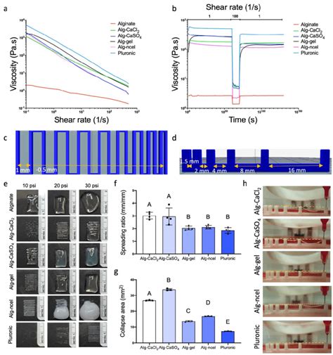 Rheological Properties And Printability Of Alginate Based Bioinks A Download Scientific