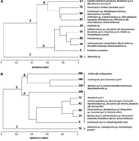 Cluster Analysis By Upgma Algorithm And Morisita Index As A Similarity Download Scientific