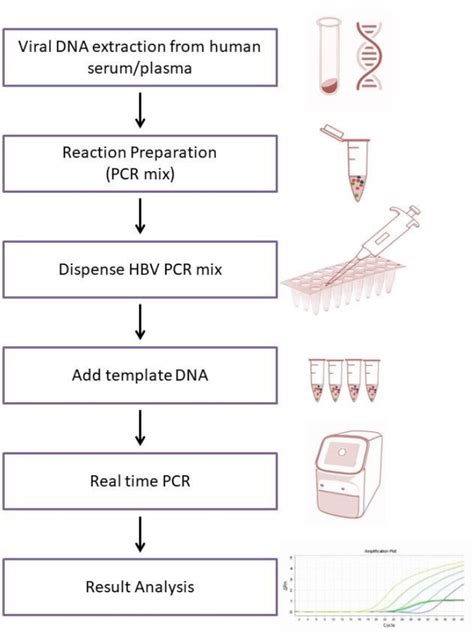Real Time Polymerase Chain Reaction Based Detection And Quantification