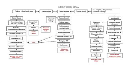 Pdf Pathway Cedera Kepala Compress Pdf