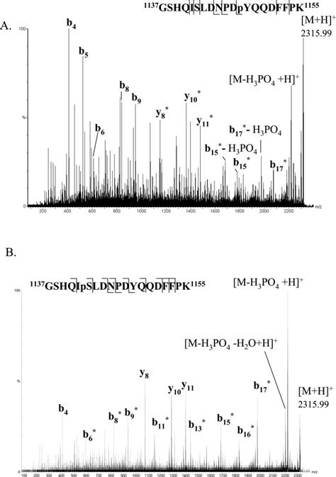 Phosphopeptide Sequencing By Maldi Ms Ms A Maldi Q Tof Ms Ms Spectrum Download Scientific
