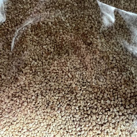 Walnut Shell Manufacturers Manufacturing Company Suppliers And China Factory Dragon Abrasives