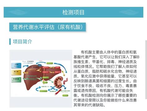 【营养与新陈代谢】全套营养代谢水平评估（尿有机酸） 华康医学