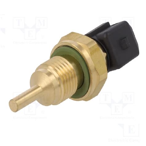 Thermometer Temperature Sensors Pt100 At Danna Covert Blog