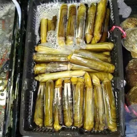 海鲜的种类名称 品种名称 大山谷图库