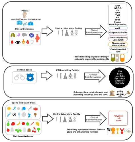 Importance Of Clinical Bioinformatics In Modern Laboratory Medicine The BioTalk Magazine