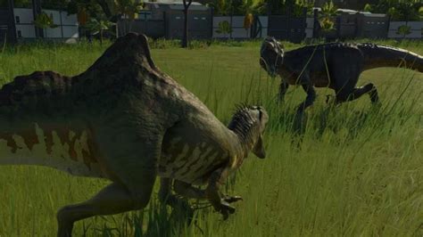 Jurassic World Evolution 2 Modified Concavenator Vs Indoraptor Youtube