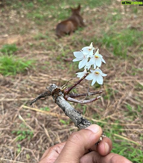 Vinay Rajkumar Wiki Biography Age Gallery Spouse And More