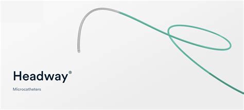 Ems Endovascular Medical Suppliers