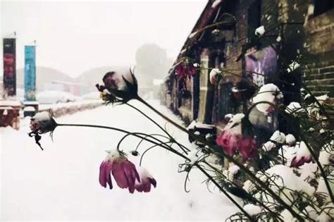 节气小雪等雪来等一场雪中旅行