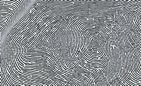 what is a master fingerprint gpaumier