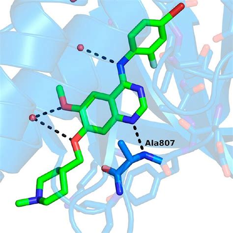 Structure Of Ret Tyrosine Kinase Domain In Complex With 15 Pdb Id