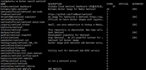 Docker：docker部署sentinel 怒吼的萝卜 博客园
