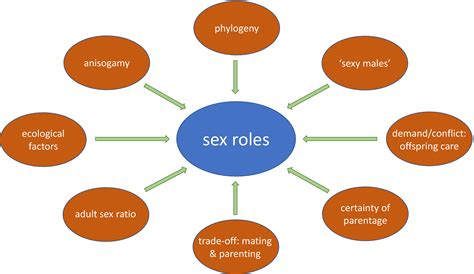 The Evolution Of Reversed Sex Roles And Classical Polyandry Insights From Coucals And Other The Evolution Of Reversed Sex Roles And Classical Polyandry Insights From Coucals And Other