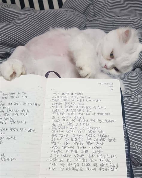 2021년 4월 14일 수요일