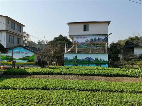 建设美丽乡村 留住浓浓乡愁 ——走进两江镇上下菜园村 搜狐大视野 搜狐新闻