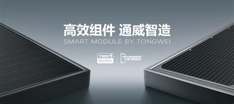 通 威 动 态 江苏省无锡市副市长周文栋一行莅临通威太阳能科技盐城基地调研 财富号 东方财富网