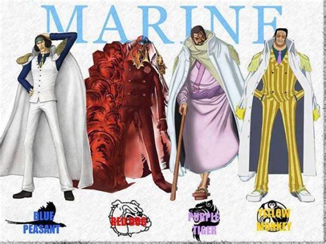 Curiositiesone Piece Gold One Piece Marine Outfit Three Admirals One Piece One Piece Marine