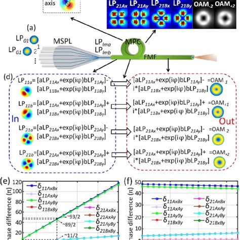A Schematic Of The Oam Multiplexer B The Sketch Of Longitudinal Download Scientific