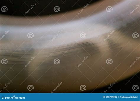 Toxocara Canis Second Stage Larvae Hatch From Eggs Royalty Free Stock