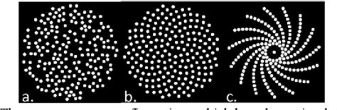 Figure From Design Of A D Sparse Array Transducer For Integration