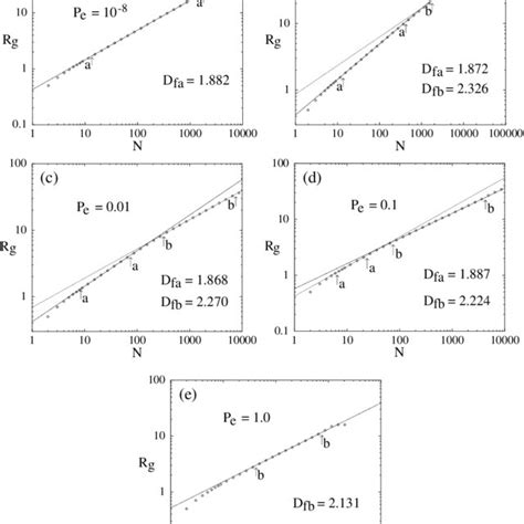 A Log Log Plot Of The Average Radius Of Gyration Of The Clusters Versus