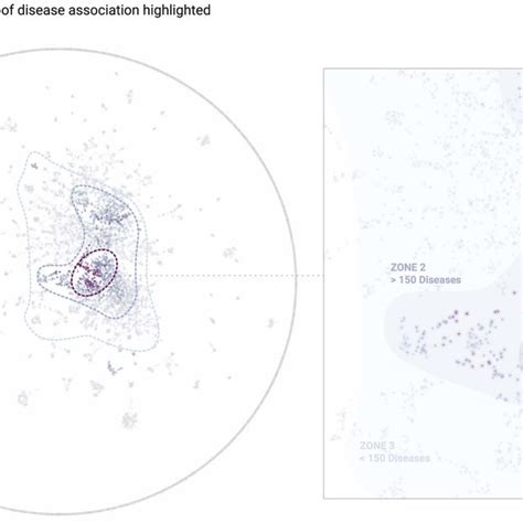 Functional Network Portrait For Exploring Genes With Multiple Disease Download Scientific