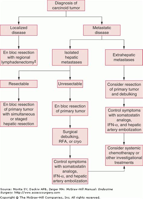 Carcinoid Tumors Abdominal Key