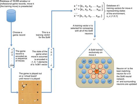 the computational implementation of self organizing maps for extracting