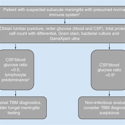 Algorithm For Diagnosis Of Subacute Meningitis In Patients With Download Scientific Diagram