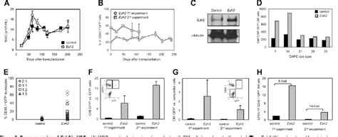 Figure 3 From The Polycomb Group Gene Ezh2 Prevents Hematopoietic Stem Cell Exhaustion