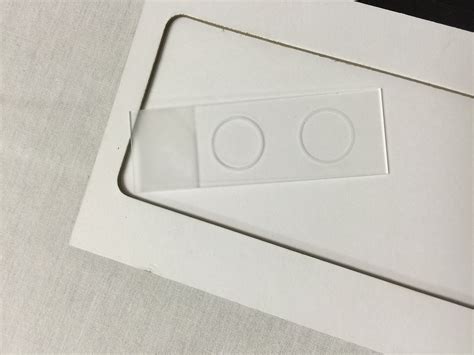 Hareta Two Circle Microscope Slides Springside Sci