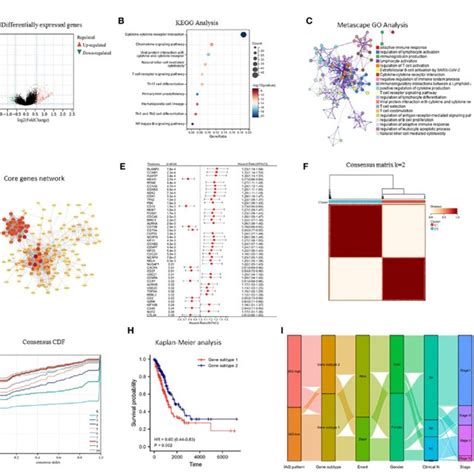 Identification Of Immune Activation Related Gene Subtypes Based On Download Scientific Diagram