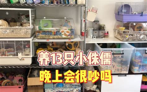 Bilibili