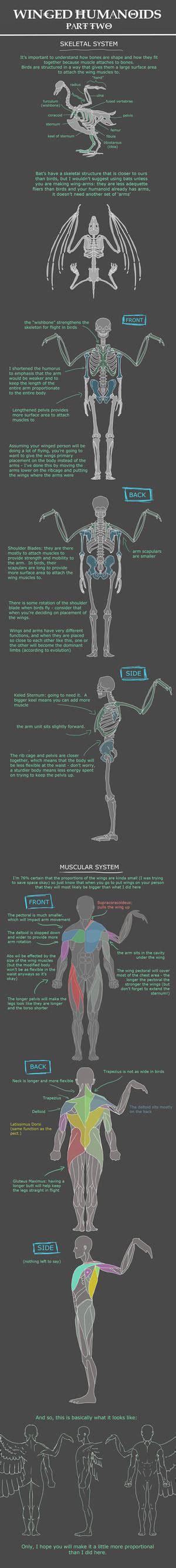 Winged Humanoid Part 2 By Mernolan On Deviantart