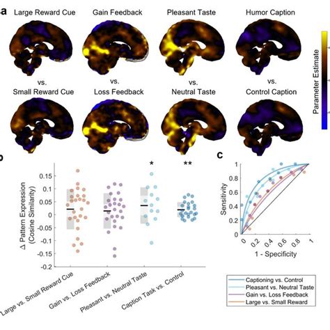 Validation Of The Pleasure Signature A Group Average Activation Maps Download Scientific