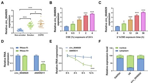 Circ0040929 Was Overexpressed In Copd Patients And Cse Exposed 16hbe