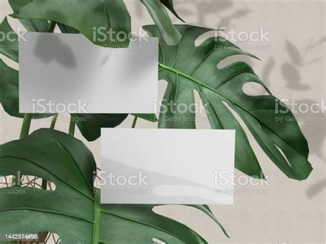 천연 잎과 쇼아도우와 명함 모형 템플릿 프리젠 테이션 브랜딩 기업 정체성을위한 모형 디자인 3d 렌더링 개념에 대한 스톡 사진 및 기타 이미지 Istock